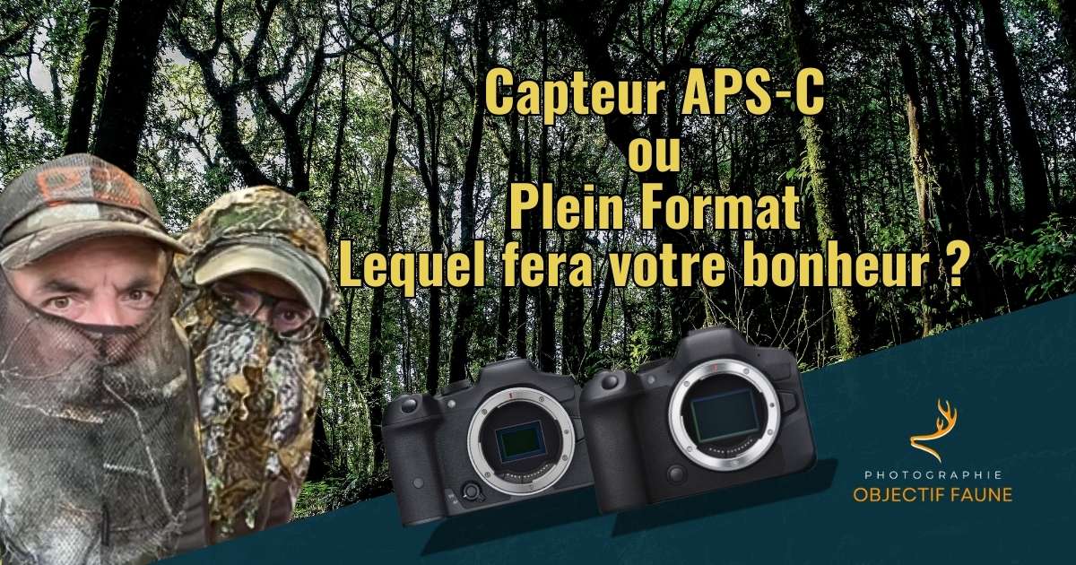 APS-C ou Plein Format - Quel capteur choisir pour votre APN